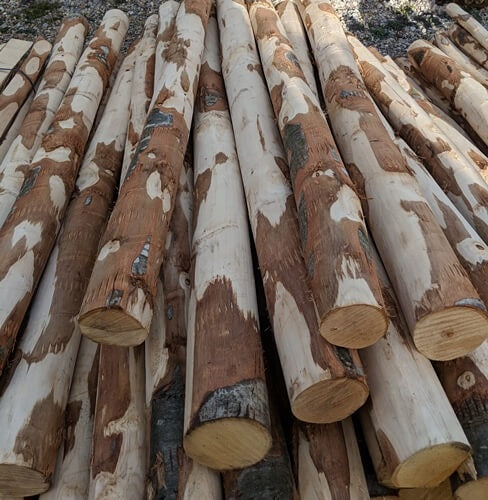 Chestnut Posts – Crestala Fencing Centre