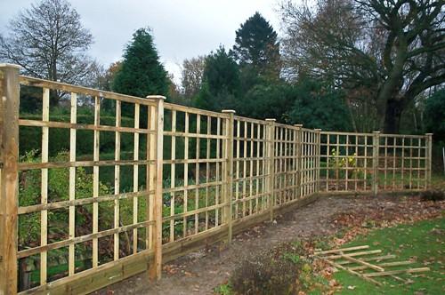 Standard Trellis Panels with Square Holes – Crestala Fencing Centre